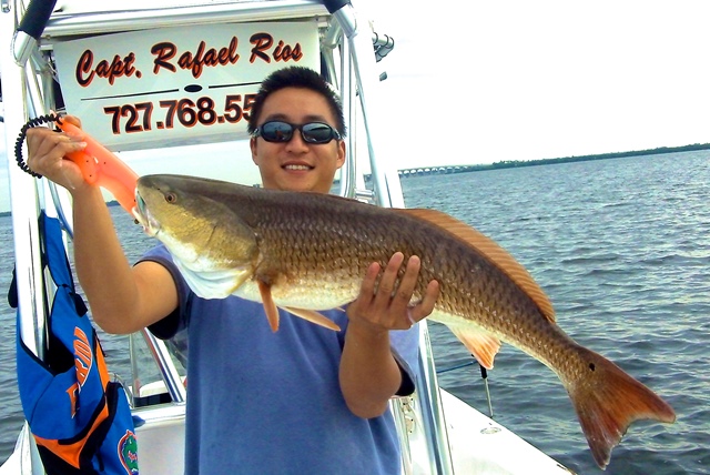 Tampa Red Fish Fishing Charters - Best Tampa Redfish Fishing Charters!